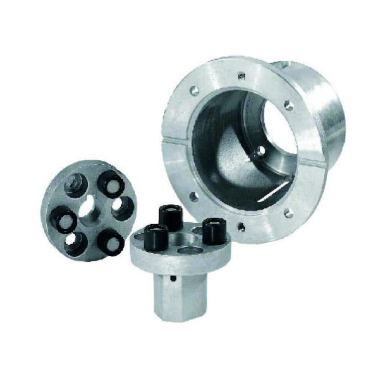 FLEXIBLE MOTOR TO PUMP COUPLING - BeniChem