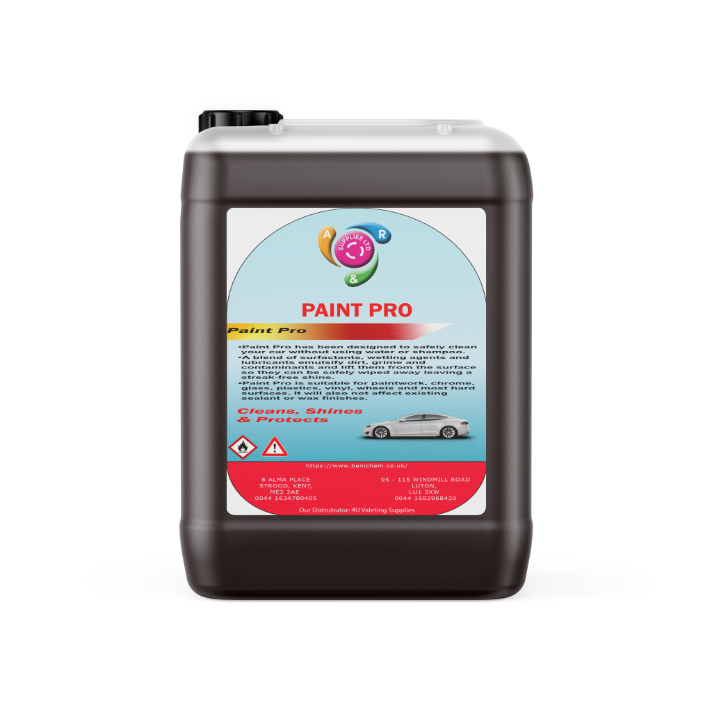 PAINT PRO - BeniChem